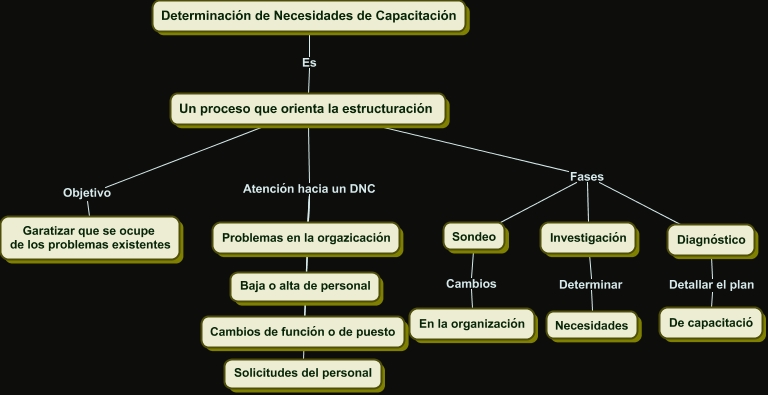Determinación de Necesidades de Capacitación